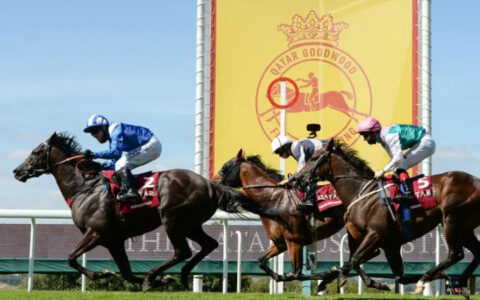 Flat Season 2025 - Joe Jennings Bookmakers